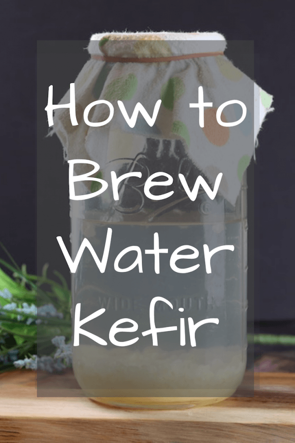 Water Kefir: How To Brew - Reclaiming Vitality